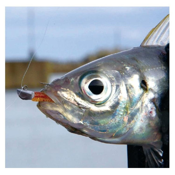 MAGBITE Ajiing "Just Ajing Series" Lure Kit | Tackle Online Australia