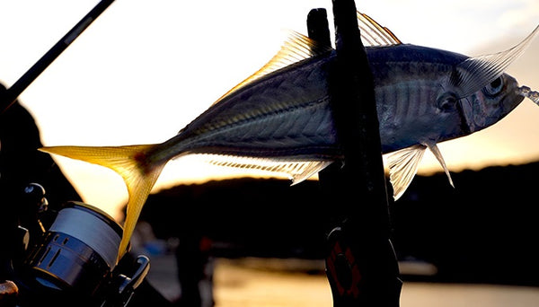 DUEL The ONE Aging Braid Fishing Line 150m - Ghost | Tackle Online ...