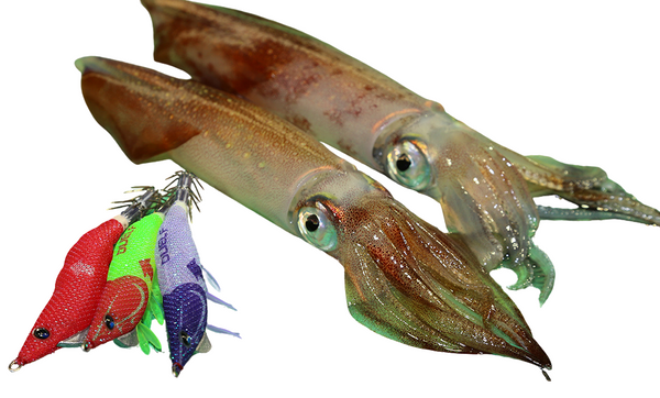 DUEL Easy Rise Floating Squid Jigs | Tackle Online Australia