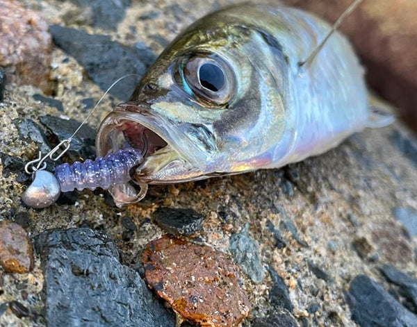 MAGBITE Upper Cut Ultra Light Jig Heads | Tackle Online Australia